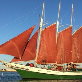 Gallery | American Rover Sailing Cruises, Virginia